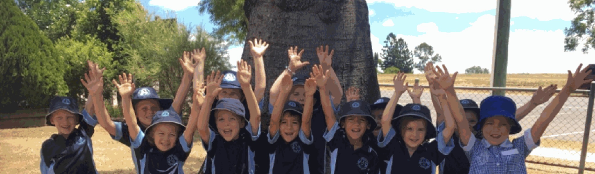 Aratula State School